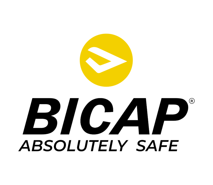 Calzado de seguridad laboral Bicap - Bricojoob